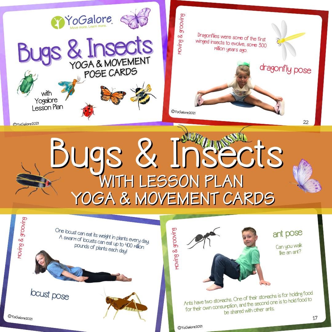 Bugs and Insects Yoga Pose Cards for Kids, Gross Motor Movement for ...