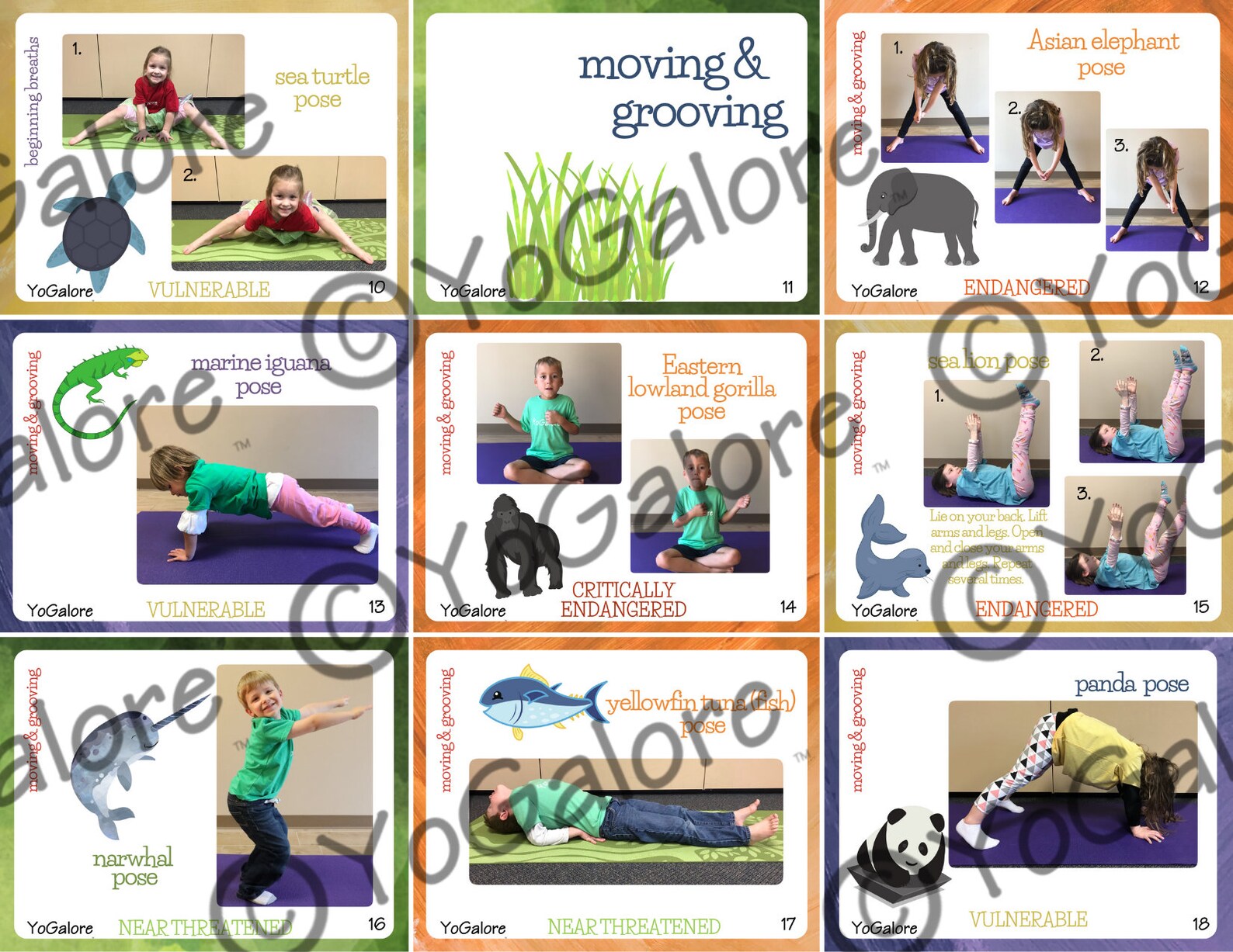 Endangered Animal Yoga & Movement Cards and Lesson Plan | Etsy