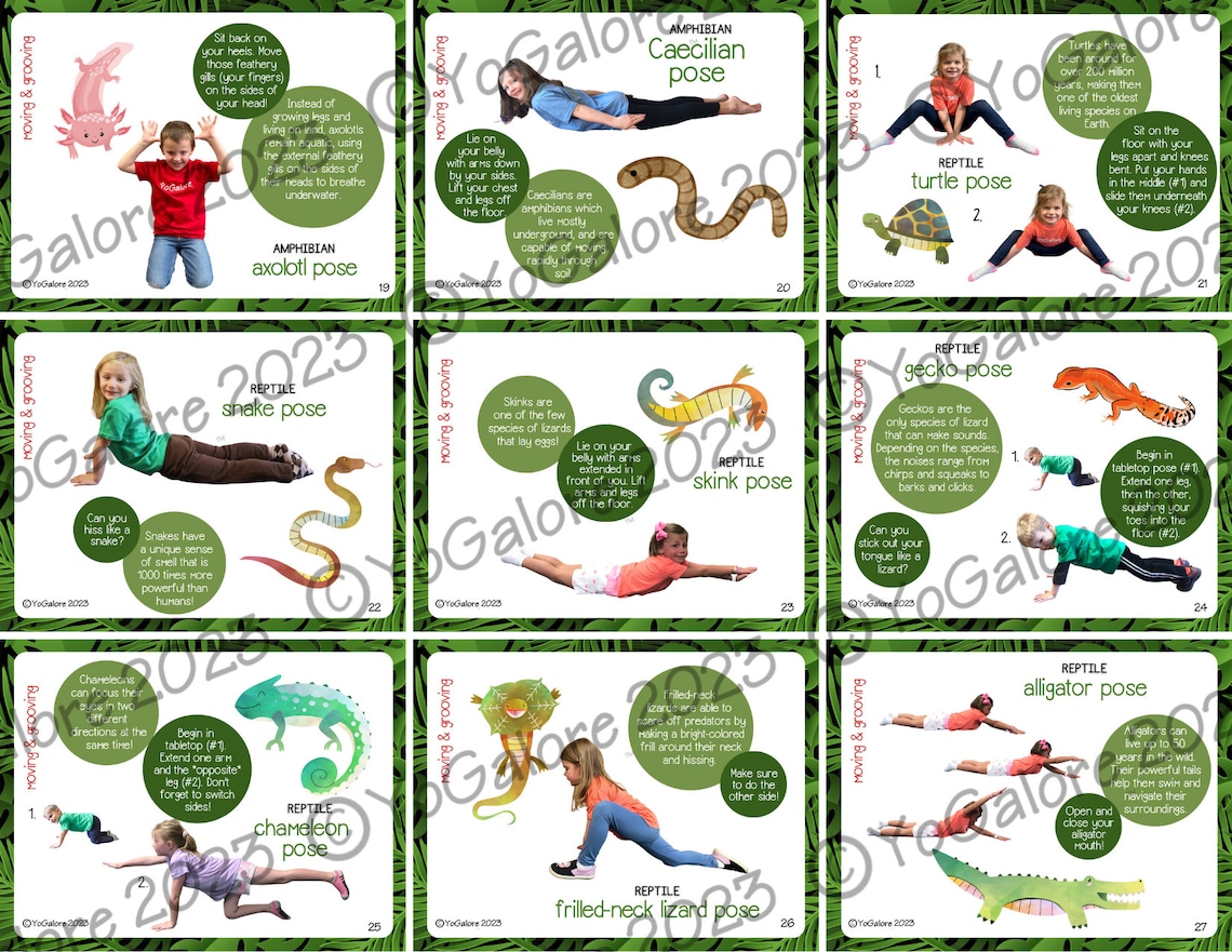 Reptiles, Amphibians and Invertebrates Yoga & Movement Pose Cards - Etsy