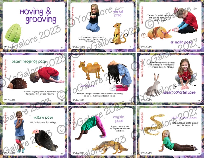 Desert Animal Yoga & Movement Pose Cards - Fun and Engaging Activity ...