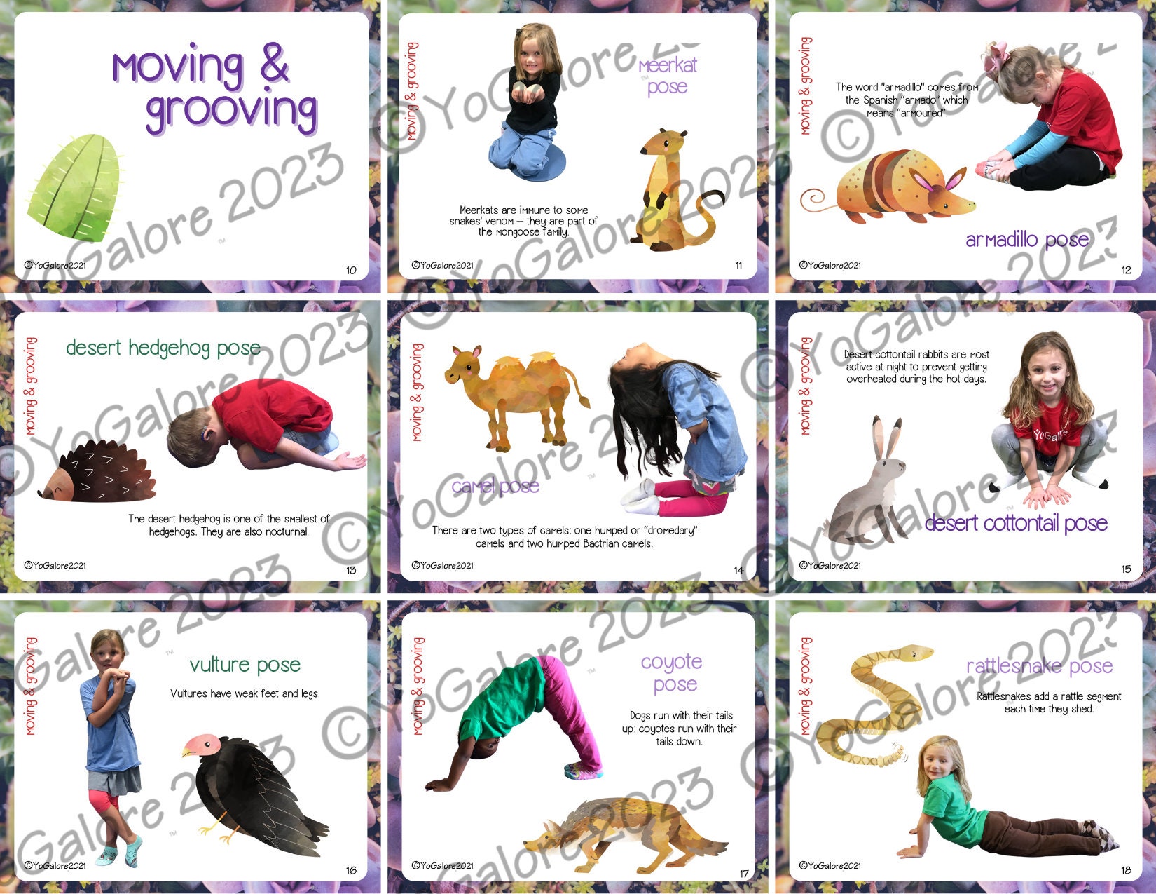 Desert Animal Yoga & Movement Pose Cards - Fun and Engaging Activity ...