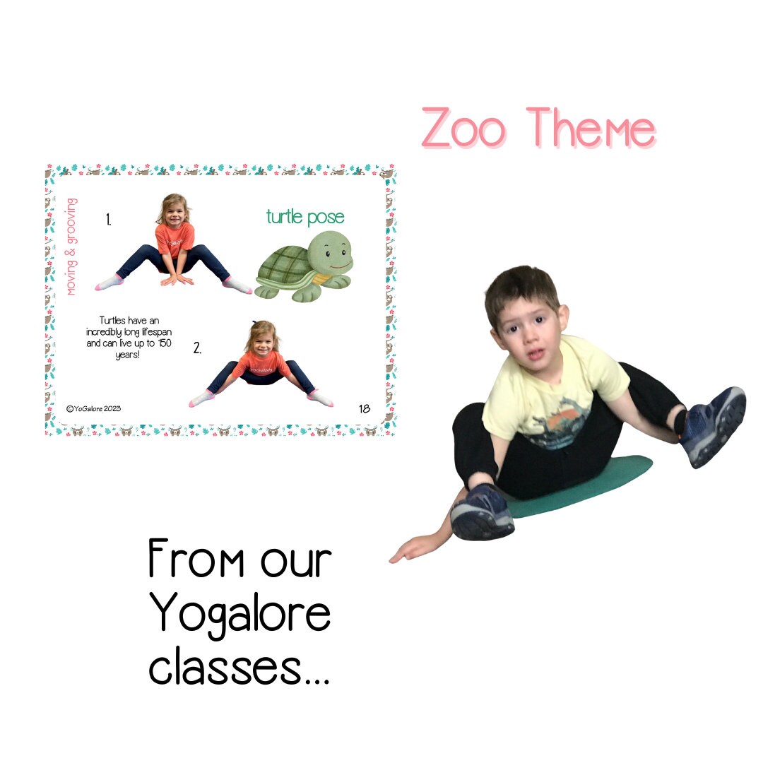 Zoo Animal Theme Yoga & Movement Cards for Preschool and Kindergarten ...