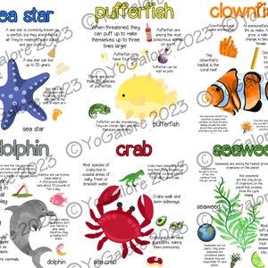 Ocean Life Fact Posters and Cards, Printable Sea Animal Facts for Kids ...
