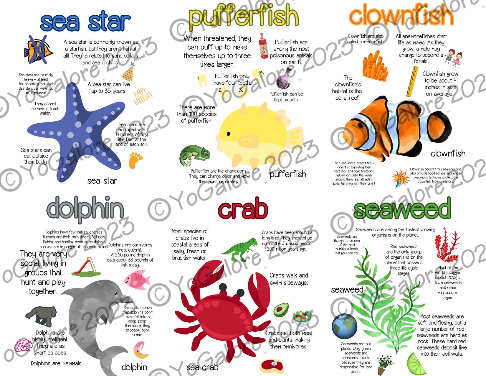 Ocean Life Fact Posters and Cards, Printable Sea Animal Facts for Kids ...