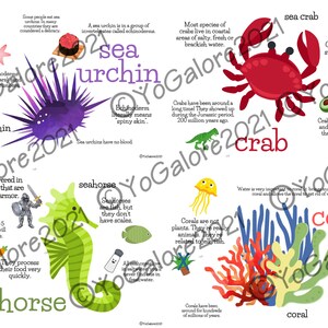 Ocean Life Fact Posters and Cards - Etsy