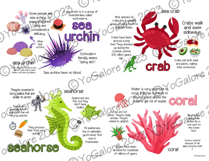 Ocean Life Fact Posters and Cards, Printable Sea Animal Facts for Kids ...
