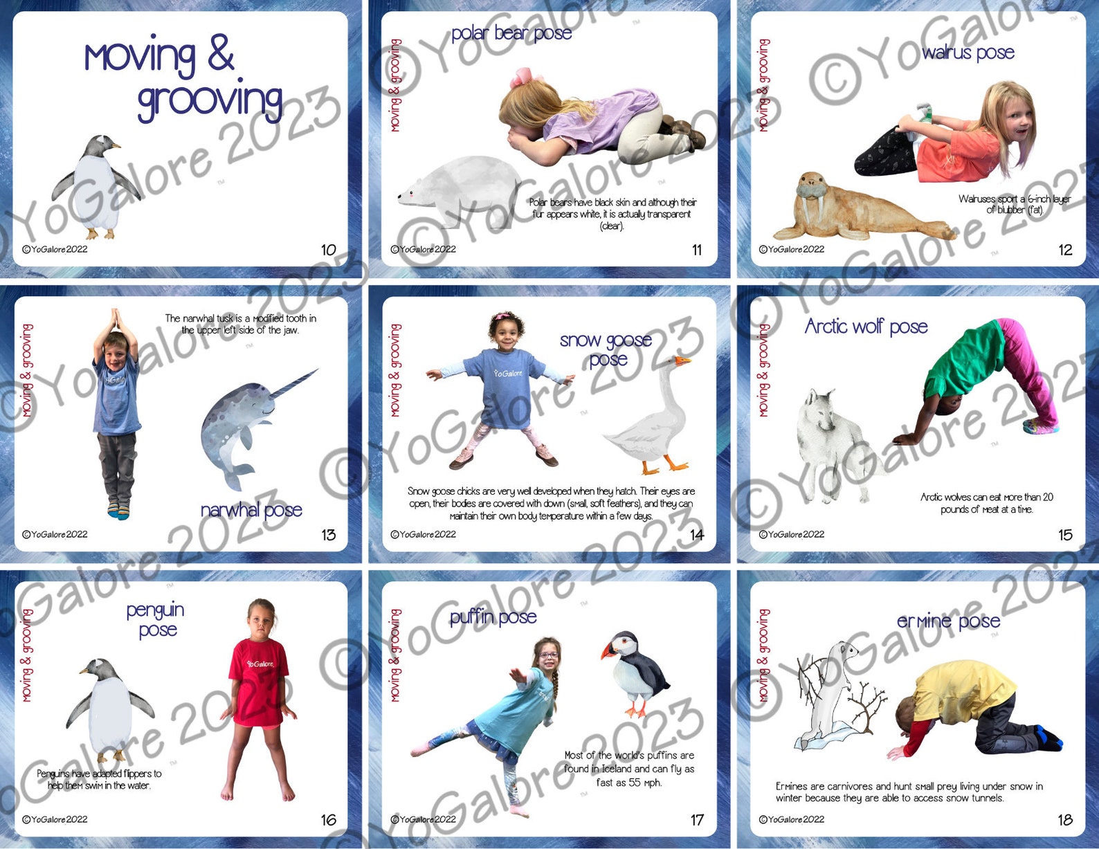 Arctic Animal Yoga Pose Cards for Kids | Mindful Movement Game, Brain ...