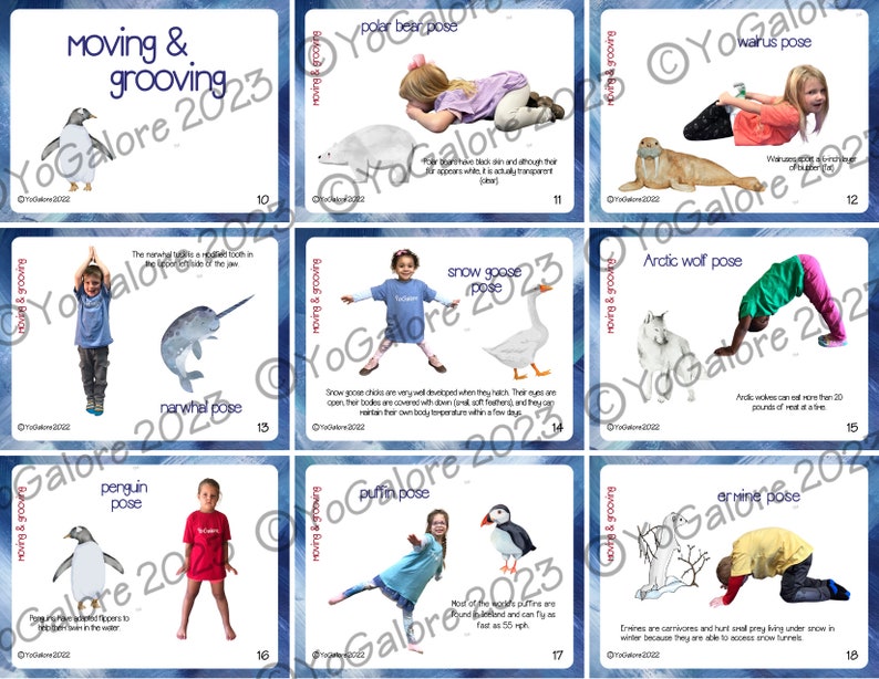 Arctic Animal Yoga Pose Cards for Kids | Mindful Movement Game, Brain ...