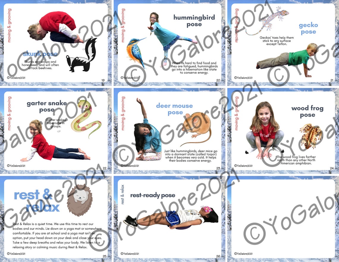 Hibernating Animals Yoga & Movement Pose Cards - Etsy