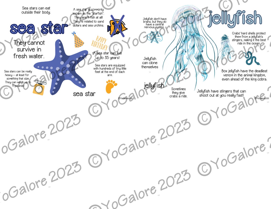 Ocean Life Fact Posters and Cards, Printable Sea Animal Facts for Kids ...