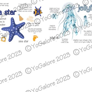 Ocean Life Fact Posters and Cards, Printable Sea Animal Facts for Kids ...