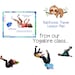 Rainforest Animals Yoga & Movement Pose Cards - Etsy