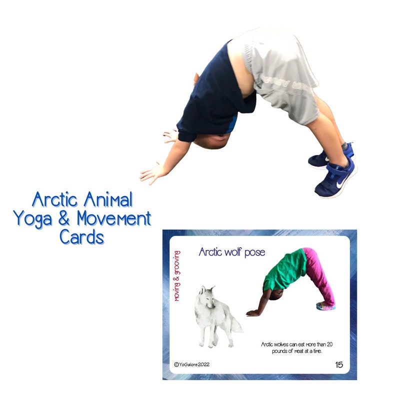 Arctic Animal Yoga Pose Cards for Kids | Mindful Movement Game, Brain ...