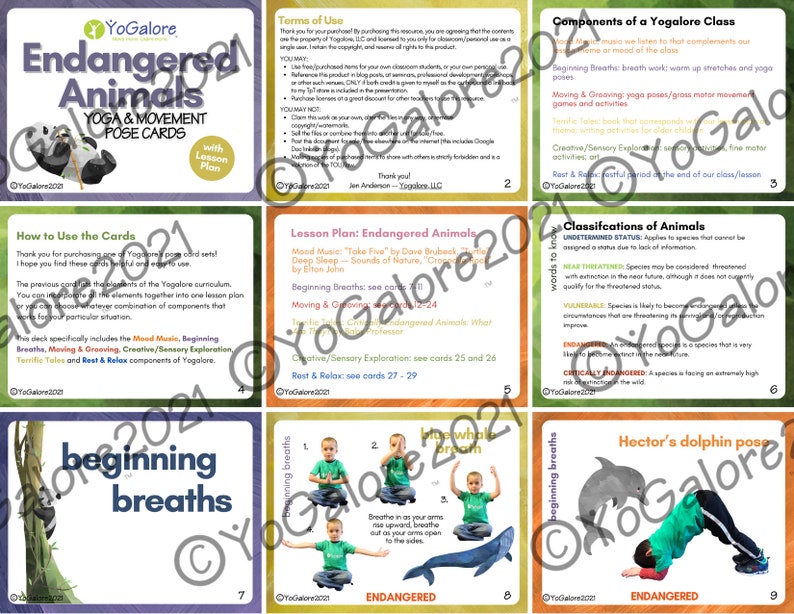 Endangered Animal Yoga & Movement Cards and Lesson Plan | Etsy