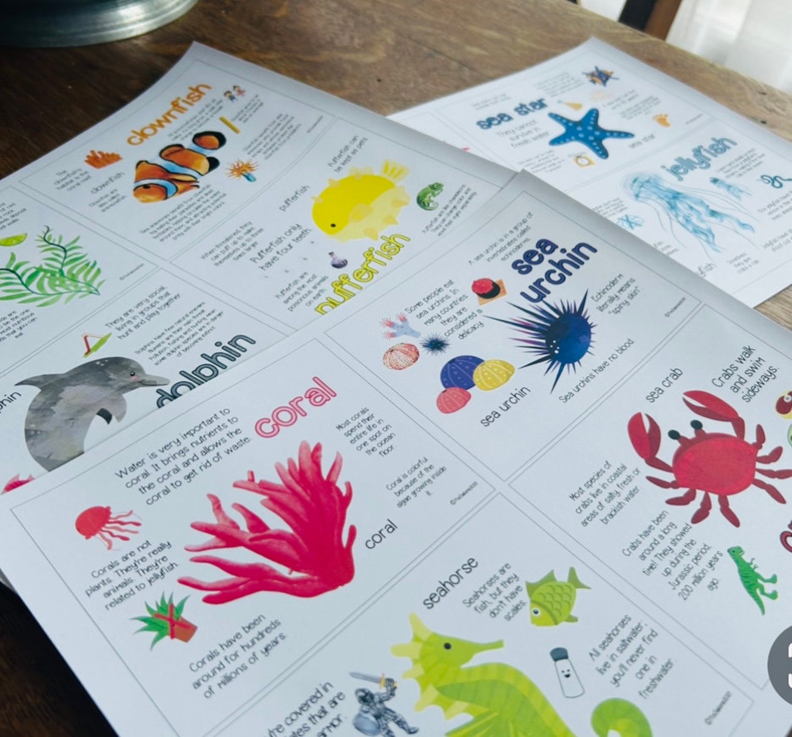 Ocean Animals: Yoga Pose Cards, Fact Posters and Cards for Preschool ...