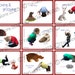 The Mitten Yoga & Movement Pose Cards With Activity - Etsy