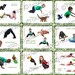 Slowly, Slowly, Slowly Said the Sloth Yoga & Movement Pose Card Set - Etsy