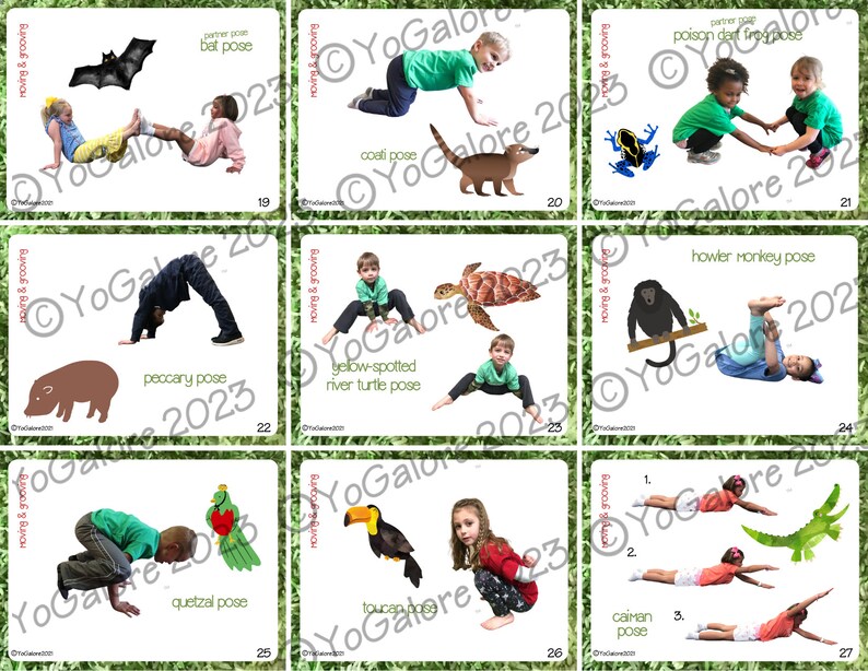 Slowly, Slowly, Slowly Said the Sloth Yoga & Movement Pose Card Set - Etsy