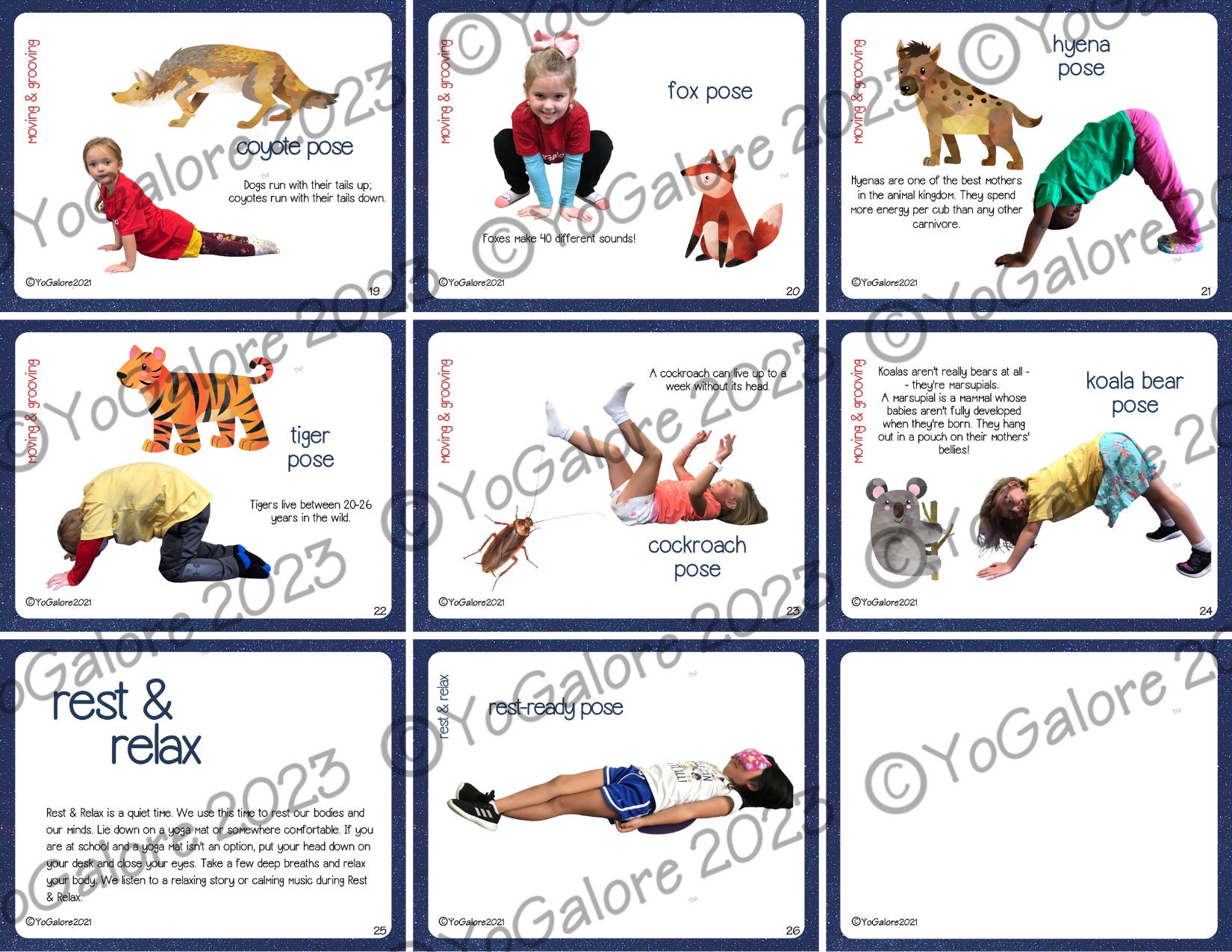 Nocturnal Animals Yoga & Movement Pose Cards - Etsy