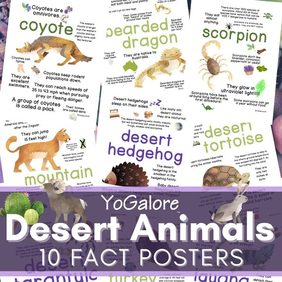 Desert Animal Facts: Posters for the Classroom or Playroom | Etsy