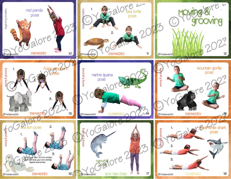 Endangered Animal Yoga & Movement Cards and Lesson Plan - Etsy