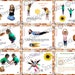 Fall Theme Activities -- Yoga & Movement Pose Cards -- Movement ...