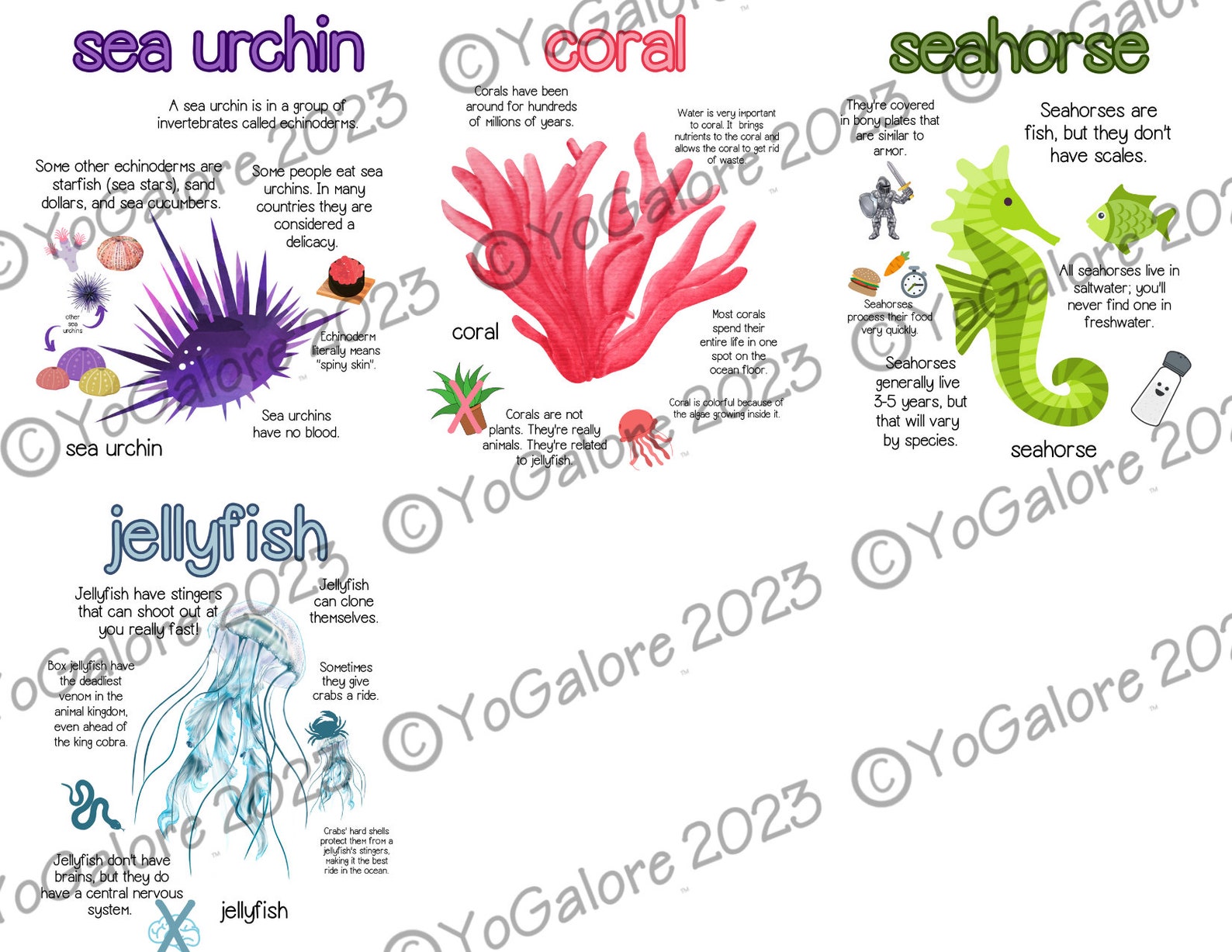 Ocean Life Fact Posters and Cards, Printable Sea Animal Facts for Kids ...