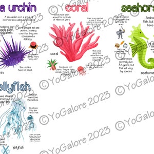 Ocean Life Fact Posters and Cards, Printable Sea Animal Facts for Kids ...