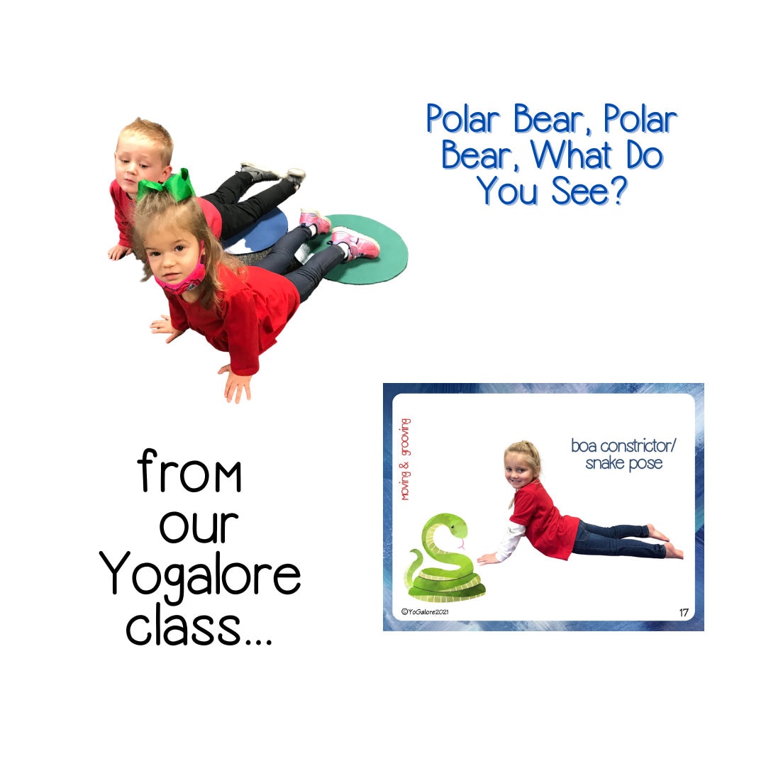 Polar Bear, Polar Bear, What Do You Hear Yoga & Movement Pose Cards - Etsy