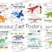 Dinosaur Fact Posters and Cards Printable Science Decor for Kids ...