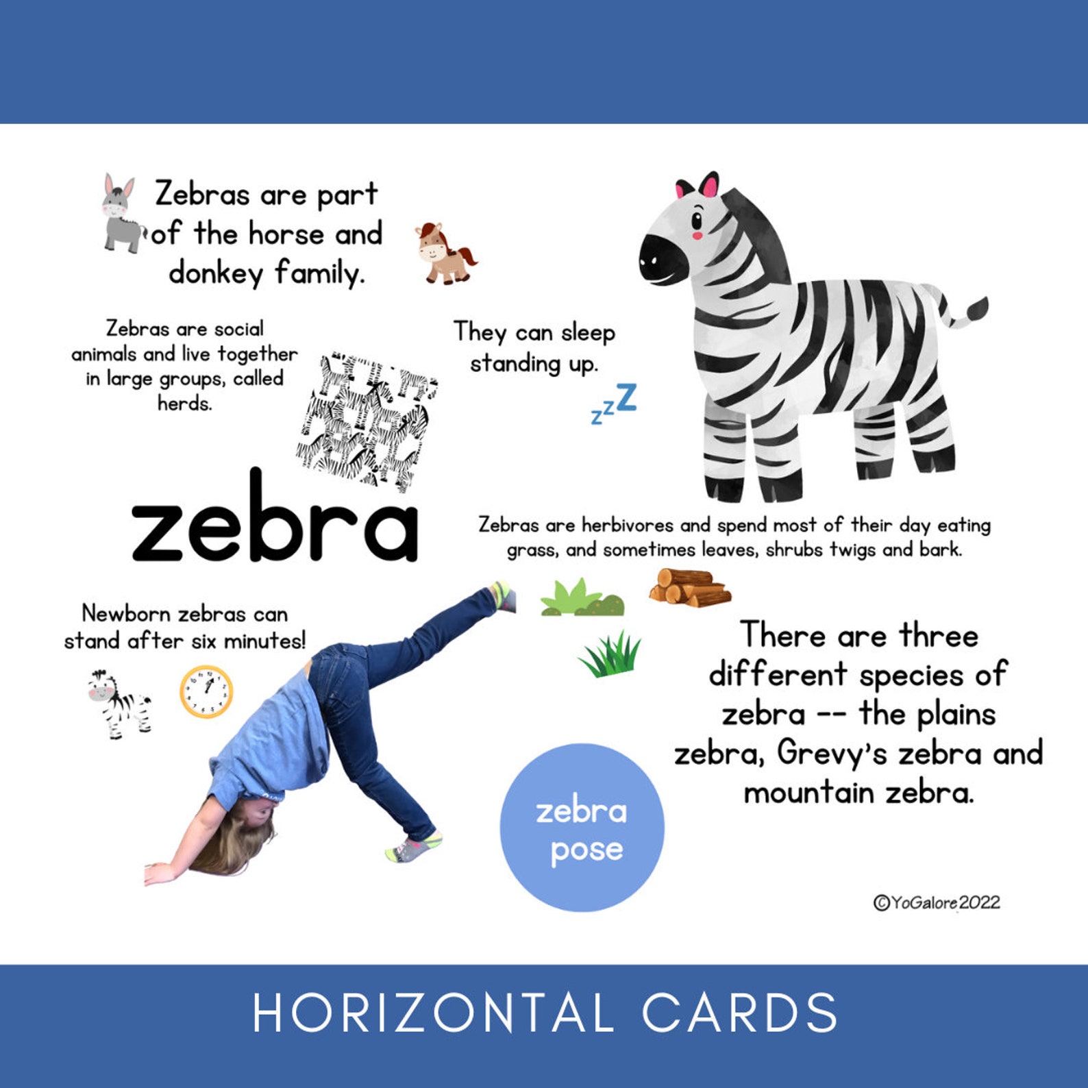 Safari Animal Jungle Animal Theme Fact Posters With Yoga Poses for ...