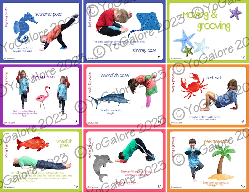 Ocean Animals | Ocean Life Yoga & Movement Pose Cards With Lesson Plan ...