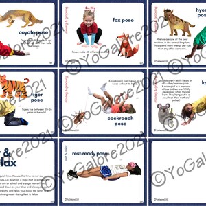 Nocturnal Animals Yoga & Movement Pose Cards - Etsy