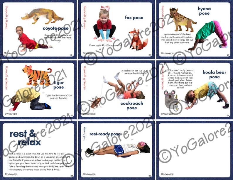 Nocturnal Animals Yoga & Movement Pose Cards - Etsy