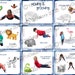 Polar Bear, Polar Bear, What Do You Hear? Yoga & Movement Pose Cards - Etsy