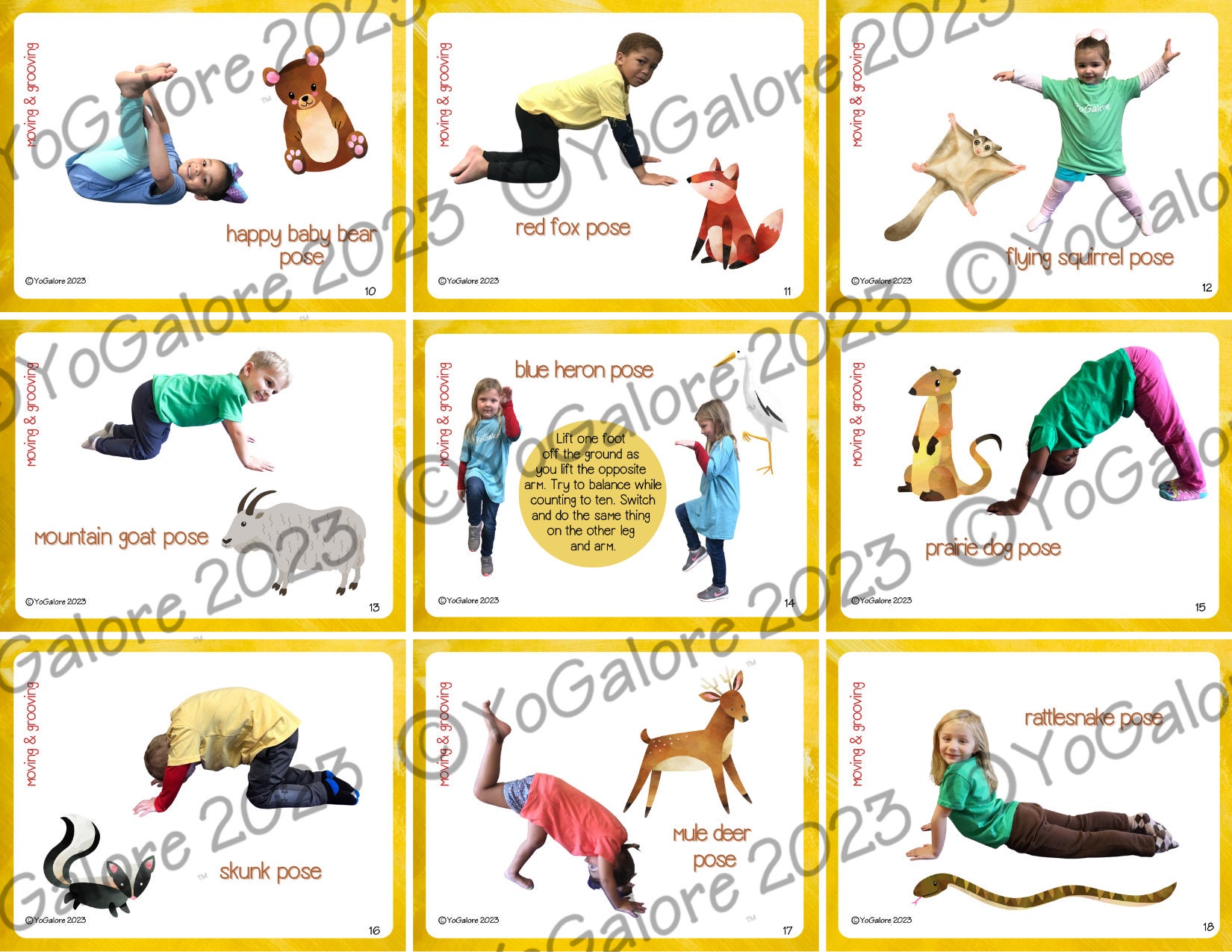 Baby Bear, Baby Bear, What Do You See? Yoga & Movement Pose Cards - Etsy