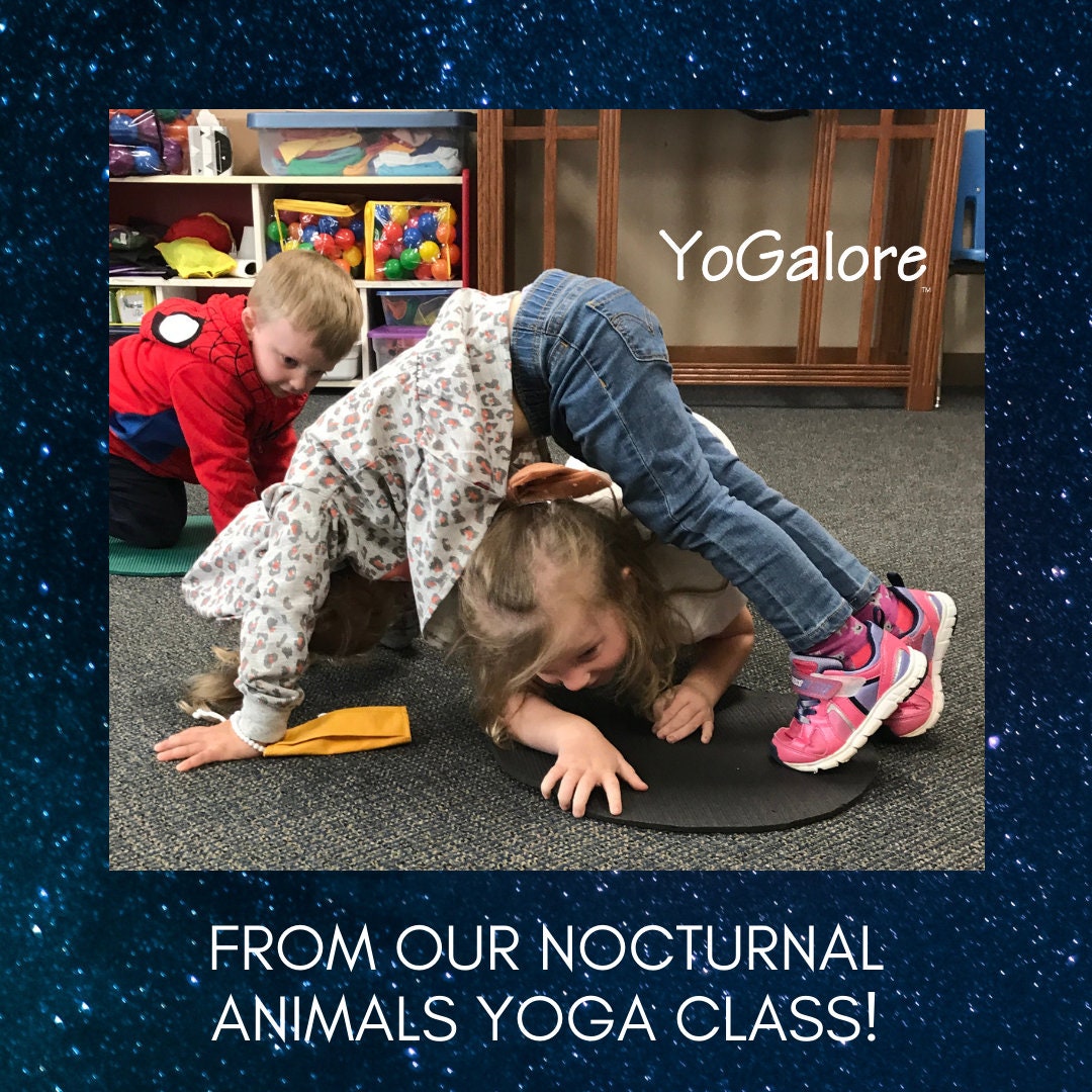 Nocturnal Animals Yoga & Movement Pose Cards - Etsy