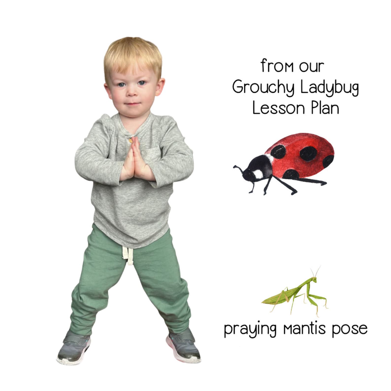 The Grouchy Ladybug: Yoga & Movement Cards - Etsy