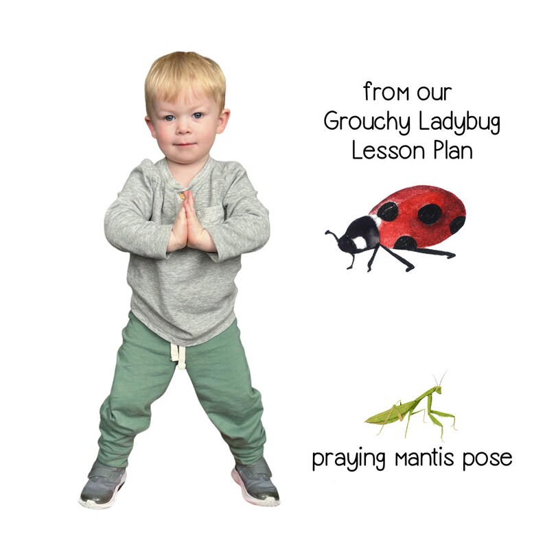 The Grouchy Ladybug: Yoga & Movement Cards - Etsy