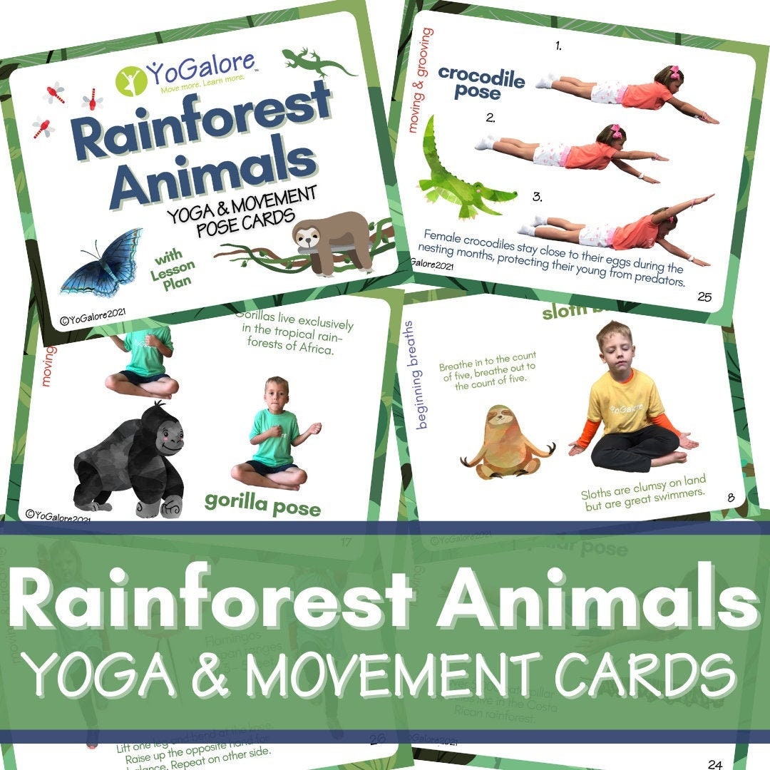 Rainforest Animals Yoga & Movement Pose Cards - Etsy