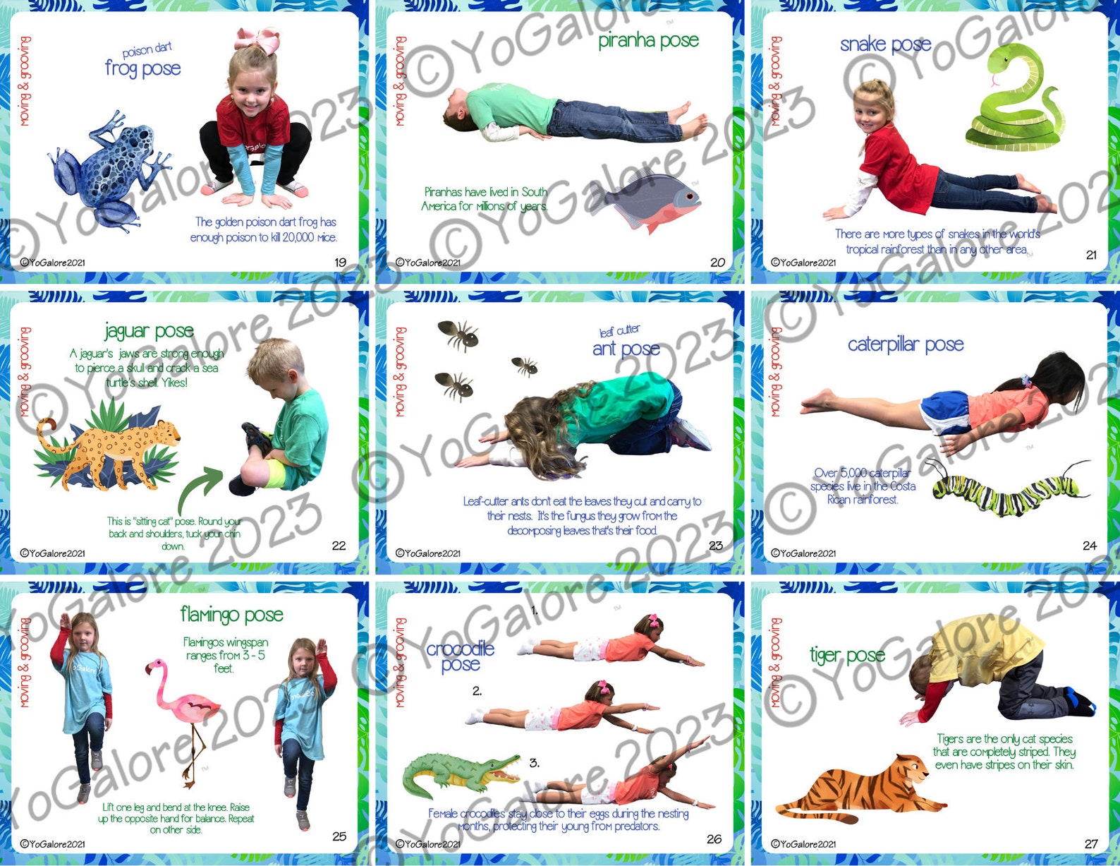 Rainforest Animals Yoga & Movement Pose Cards - Etsy