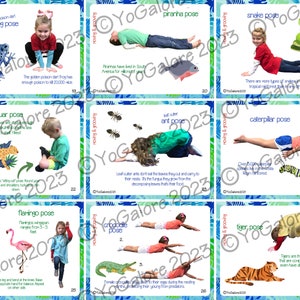 Rainforest Animals Yoga & Movement Pose Cards - Etsy