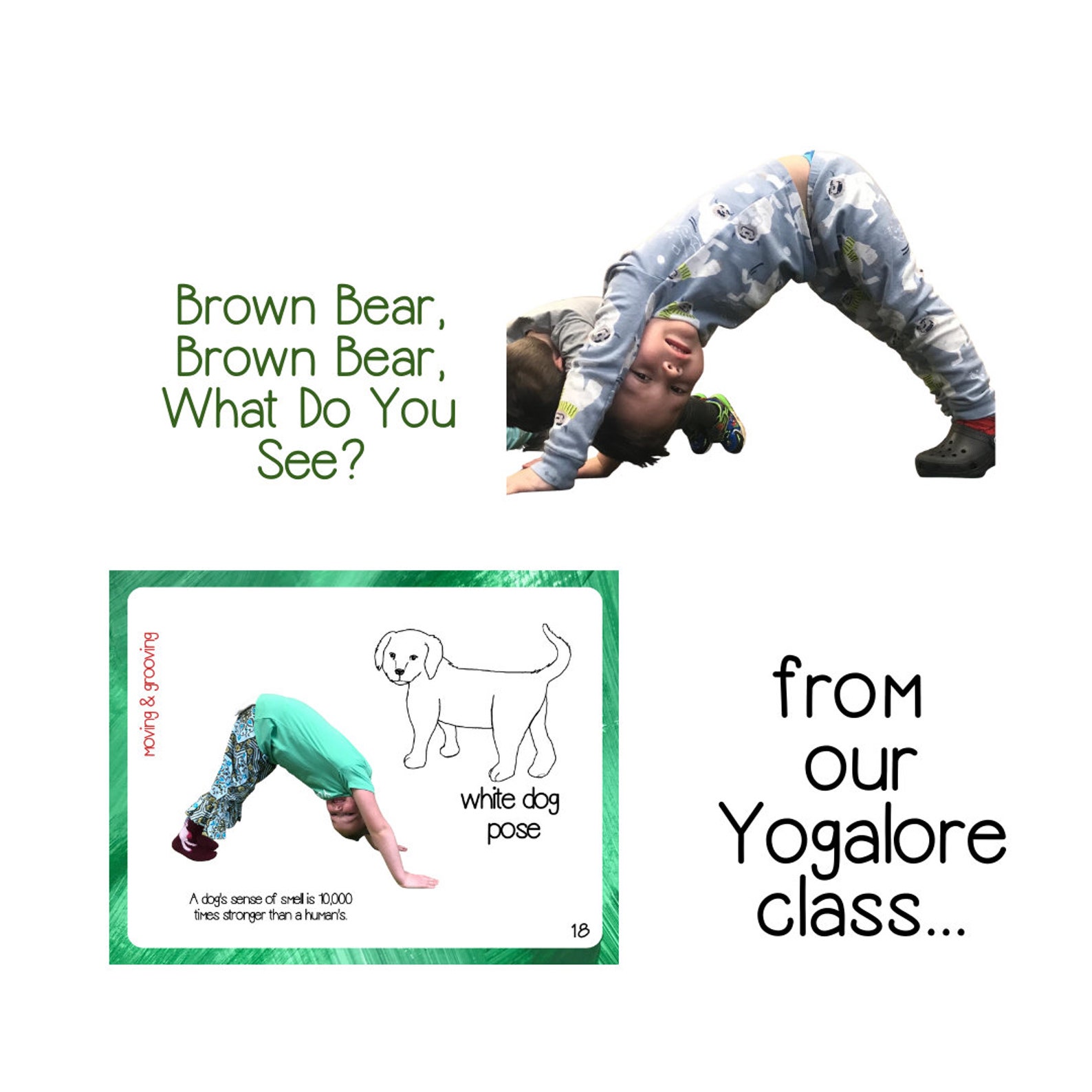 Brown Bear, Brown Bear What Do You See? Yoga & Movement Pose Cards - Etsy