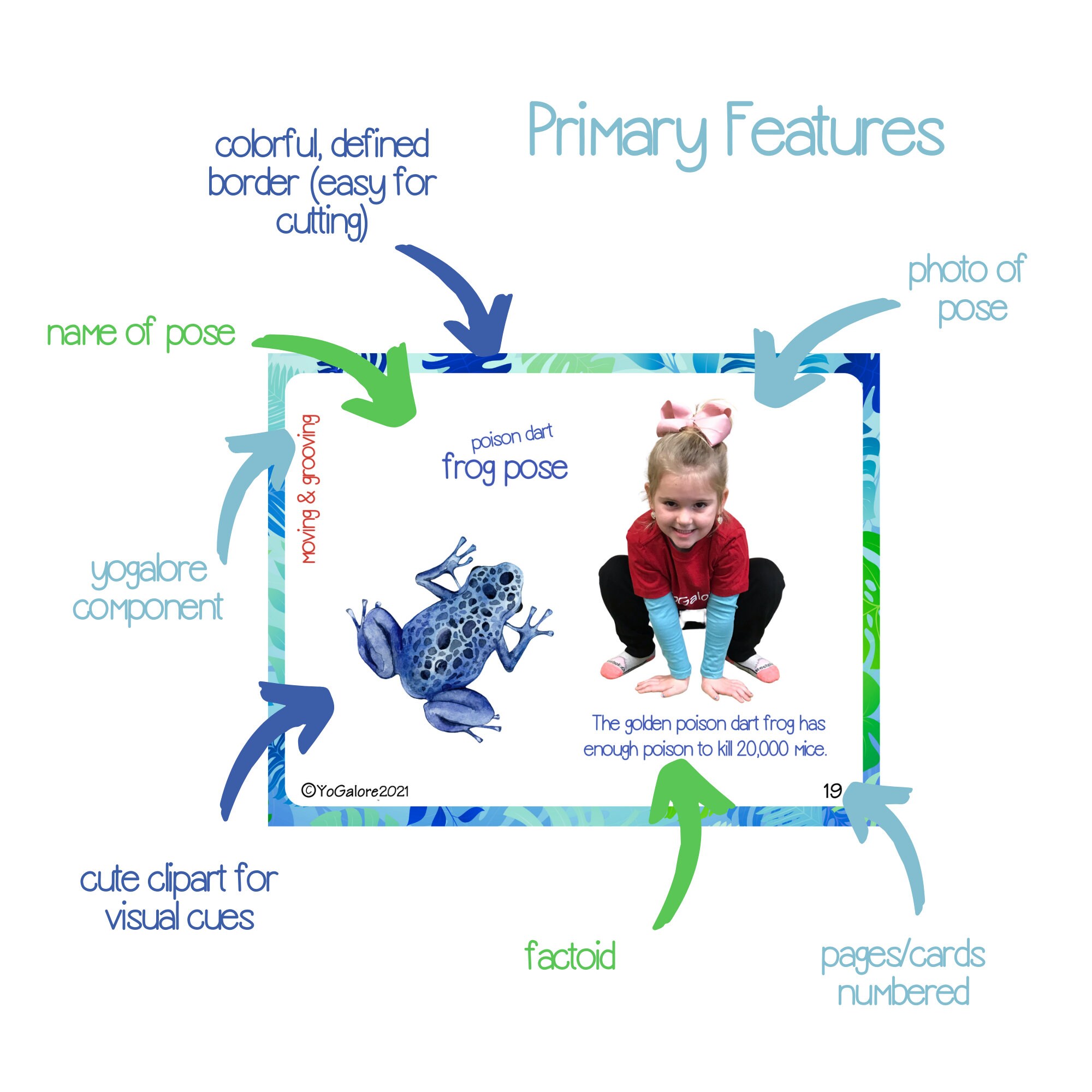 Rainforest Animals Yoga & Movement Pose Cards - Etsy