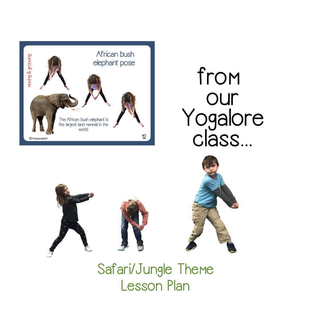 Safari Theme/jungle Theme Yoga & Movement Pose Cards With Lesson Plan ...