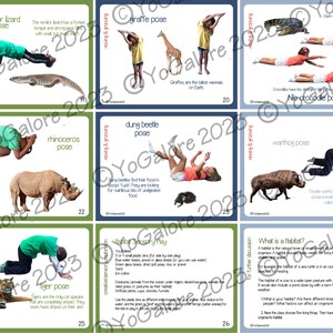 Safari Theme/jungle Theme Yoga & Movement Pose Cards With Lesson Plan ...