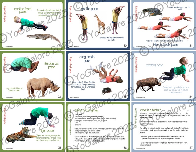Safari Theme/jungle Theme Yoga & Movement Pose Cards With Lesson Plan ...