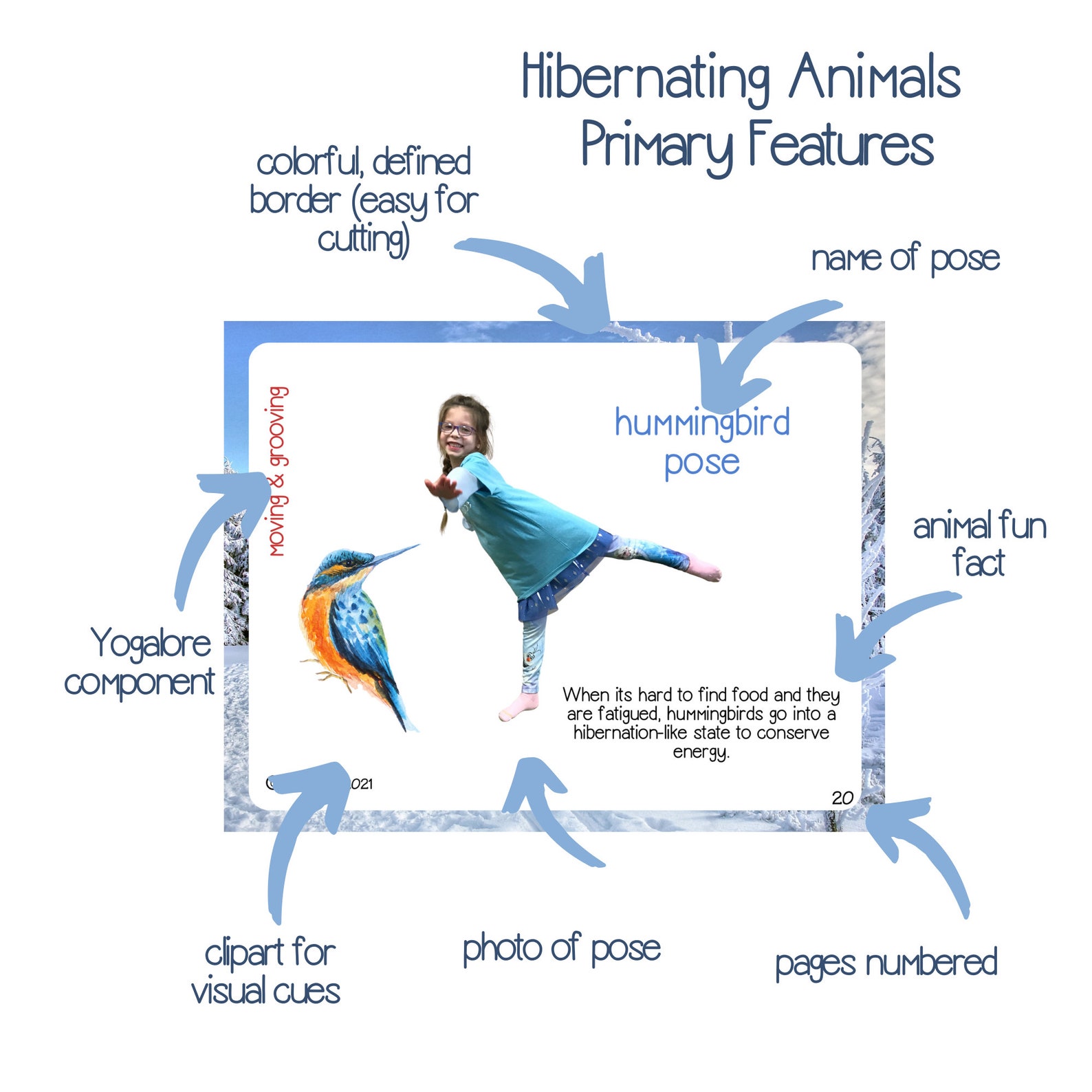 Hibernating Animals Yoga & Movement Pose Cards - Etsy