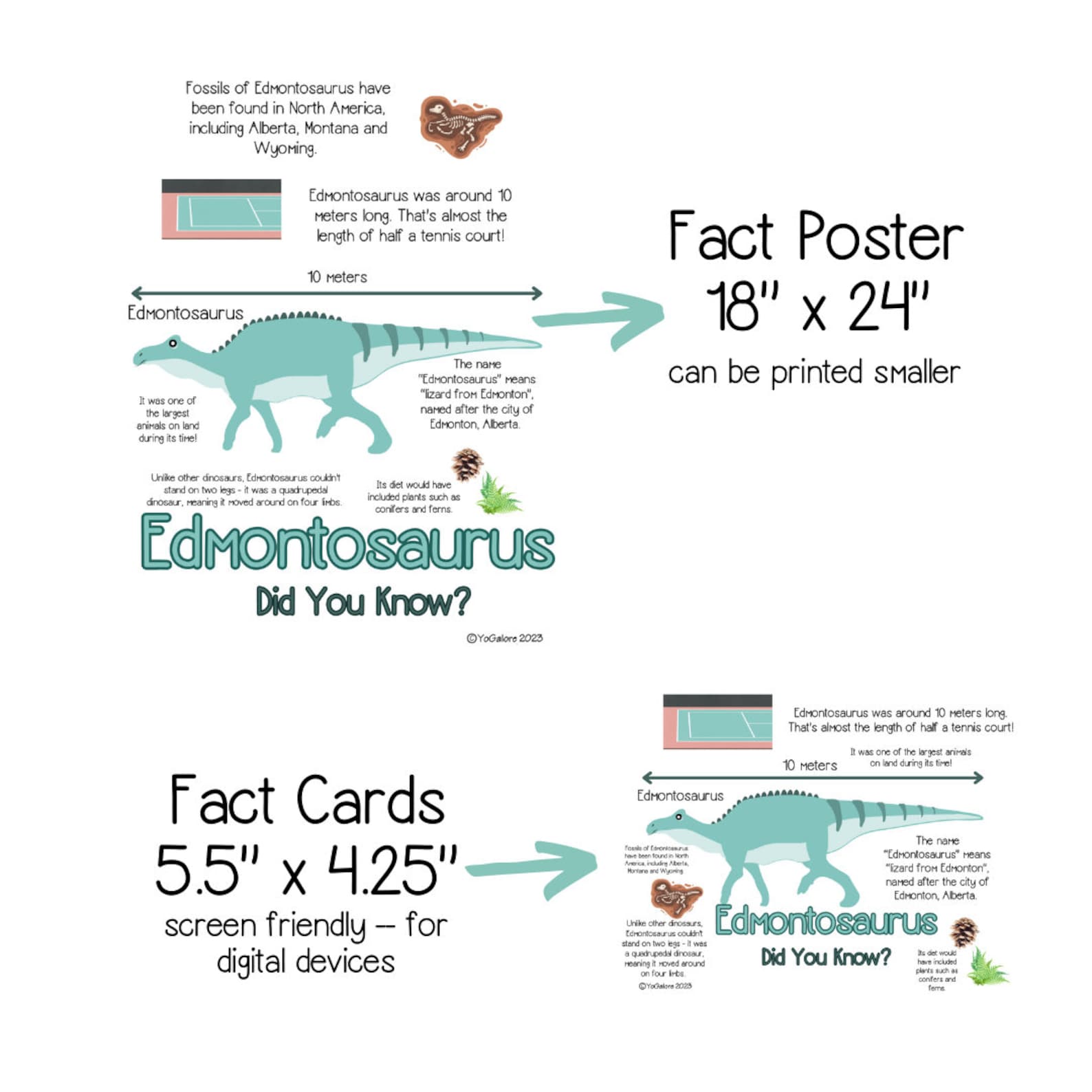 Dinosaur Fact Posters and Cards Printable Science Decor for Kids ...