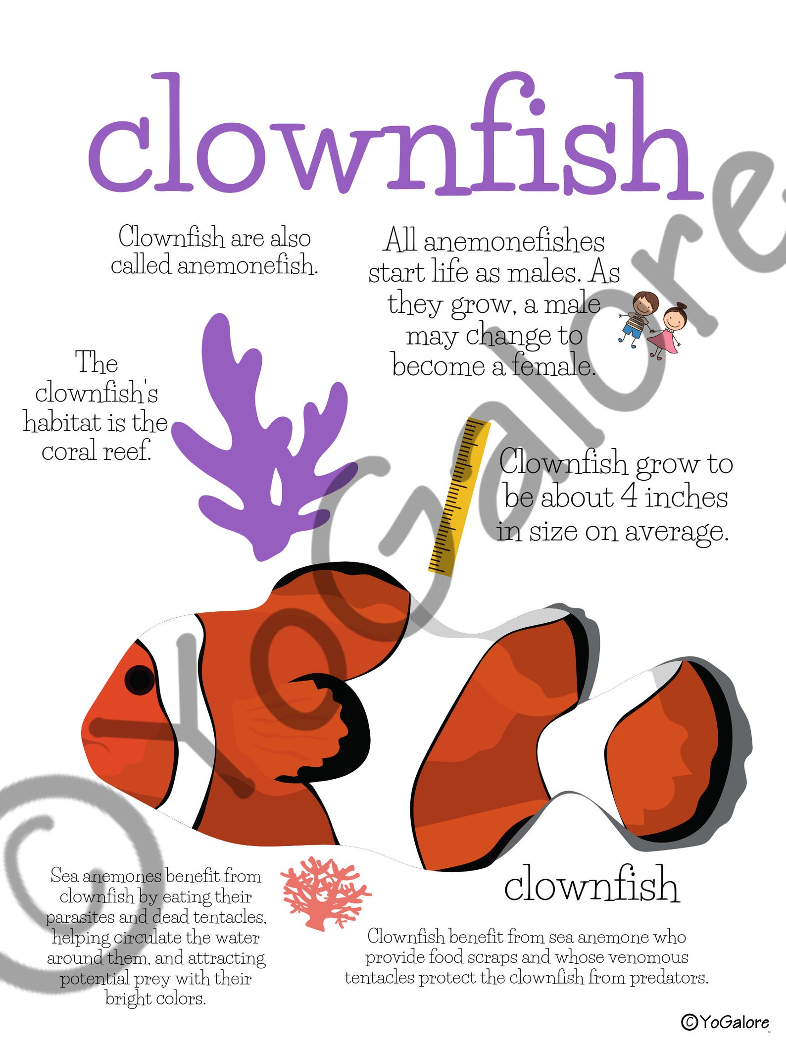 Ocean Life Trivia Posters Etsy ocean-life-trivia-posters-etsy